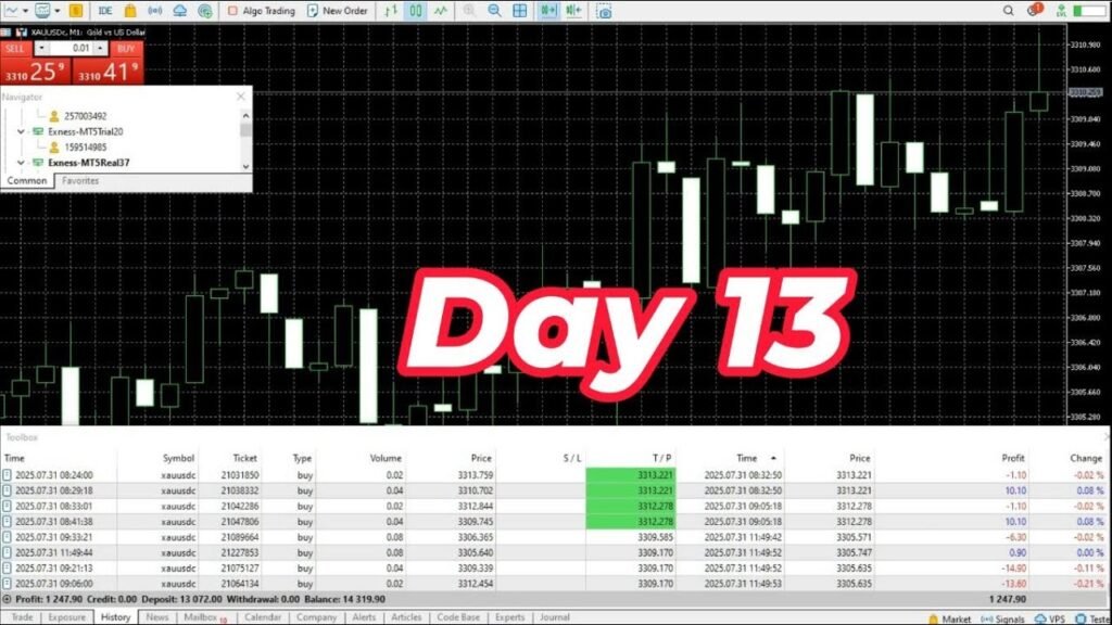Exness Robo Trading Software 2025 | Best Forex Auto Trading Robot 2025 ...